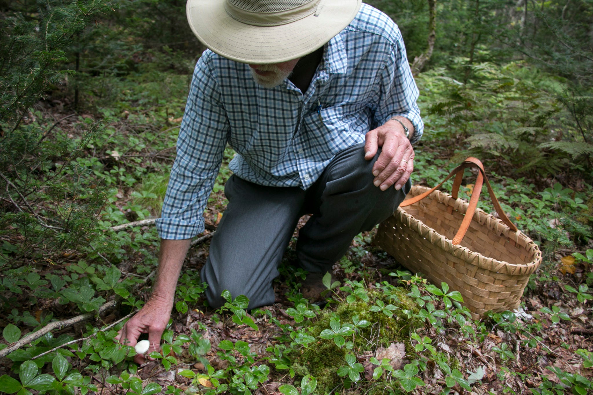 Mushroom Foraging Basket | HUNTING CASE